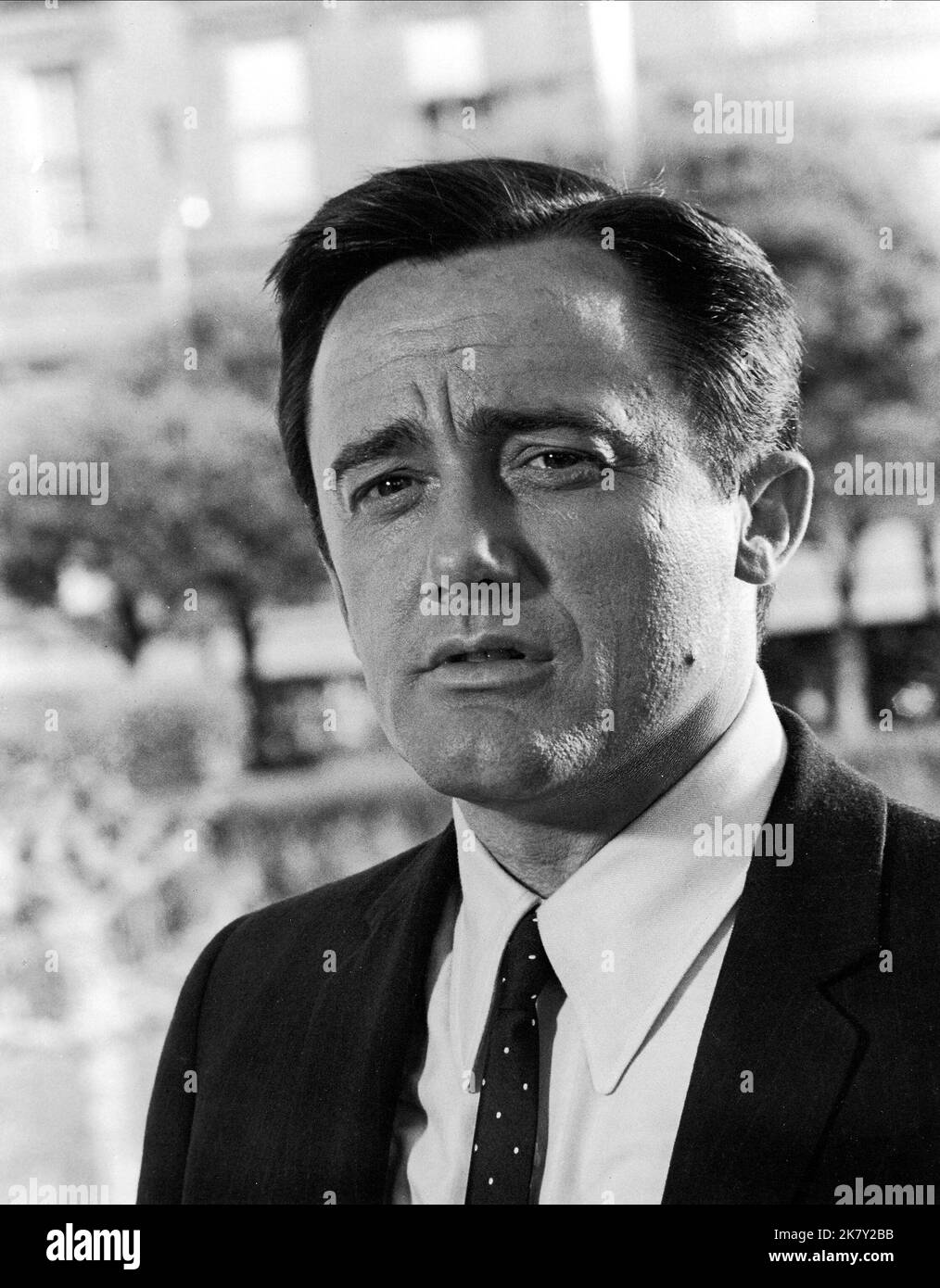 Linda Staab's Instagram, Twitter & Facebook on IDCrawl