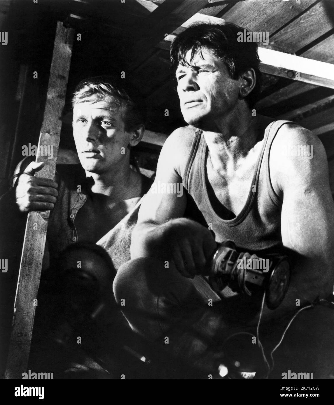 John Leyton & Charles Bronson Film: The Great Escape (USA 1963 ...