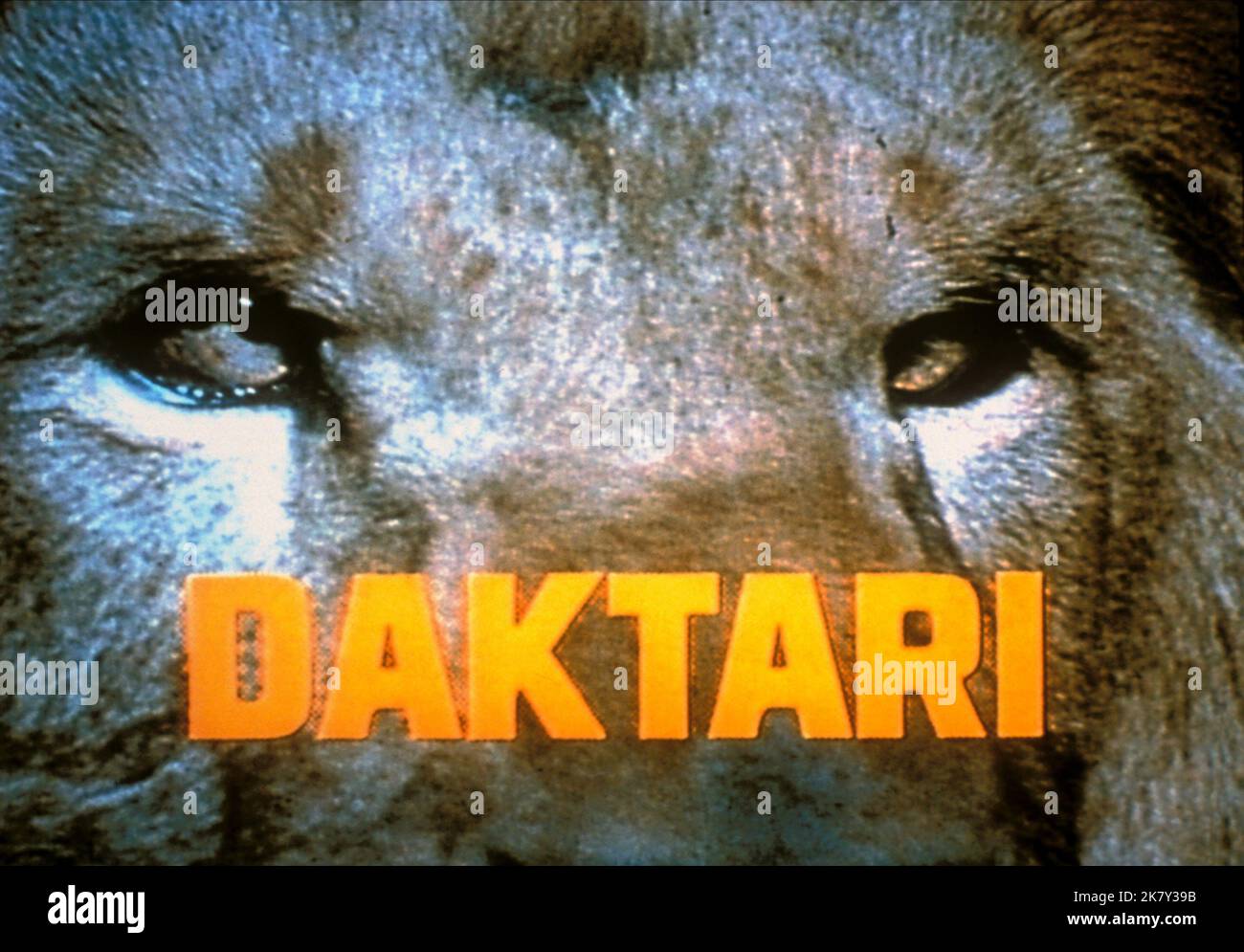 Clarence The Cross-Eyed Lion Television: Daktari (TV-Serie) Usa 1966 ...