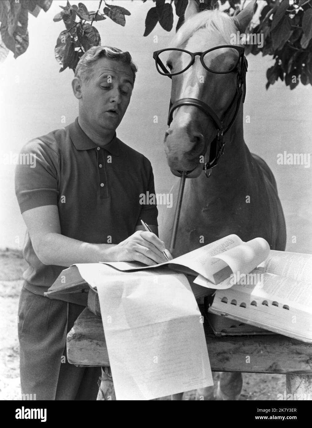 Alan Young & Mister Ed Television: Mister Ed (TV-Serie) Characters ...