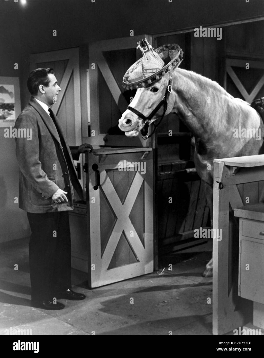 Alan Young & Mister Ed Television: Mister Ed (TV-Serie) Characters ...