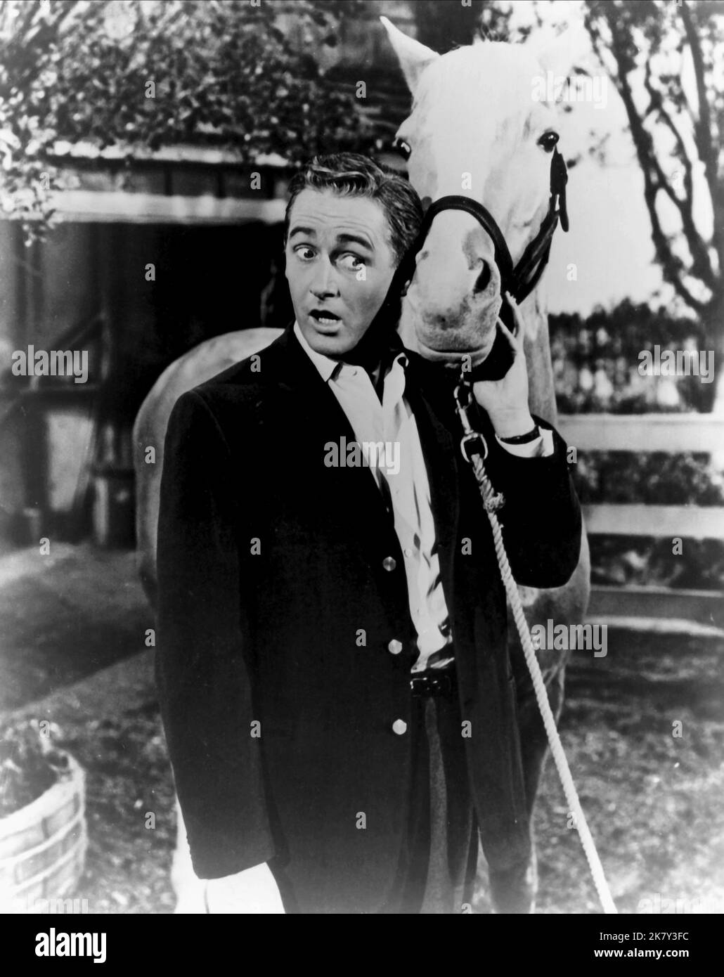 Alan Young & Mister Ed Television: Mister Ed (TV-Serie) Characters ...