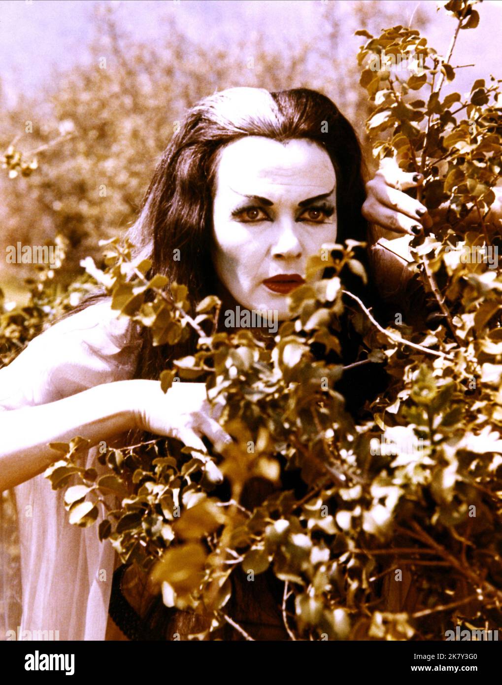 Yvonne De Carlo Television: The Munsters (TV-Serie) Characters: Lily ...