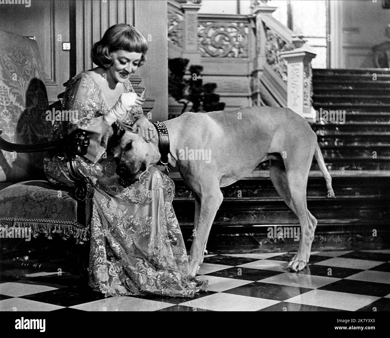 Bette Davis & Great Dane Film: Dead Ringer; Dead Image (1964 ...