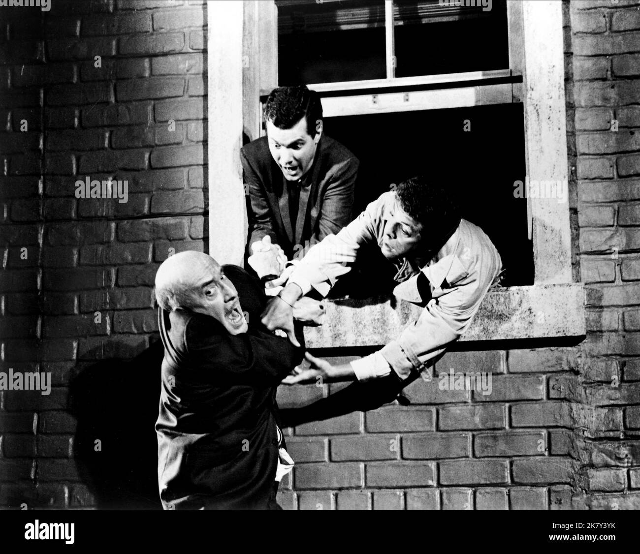 Fred Clark, Dwayne Hickman & Frankie Avalon Film: Dr. G And The Bikini ...