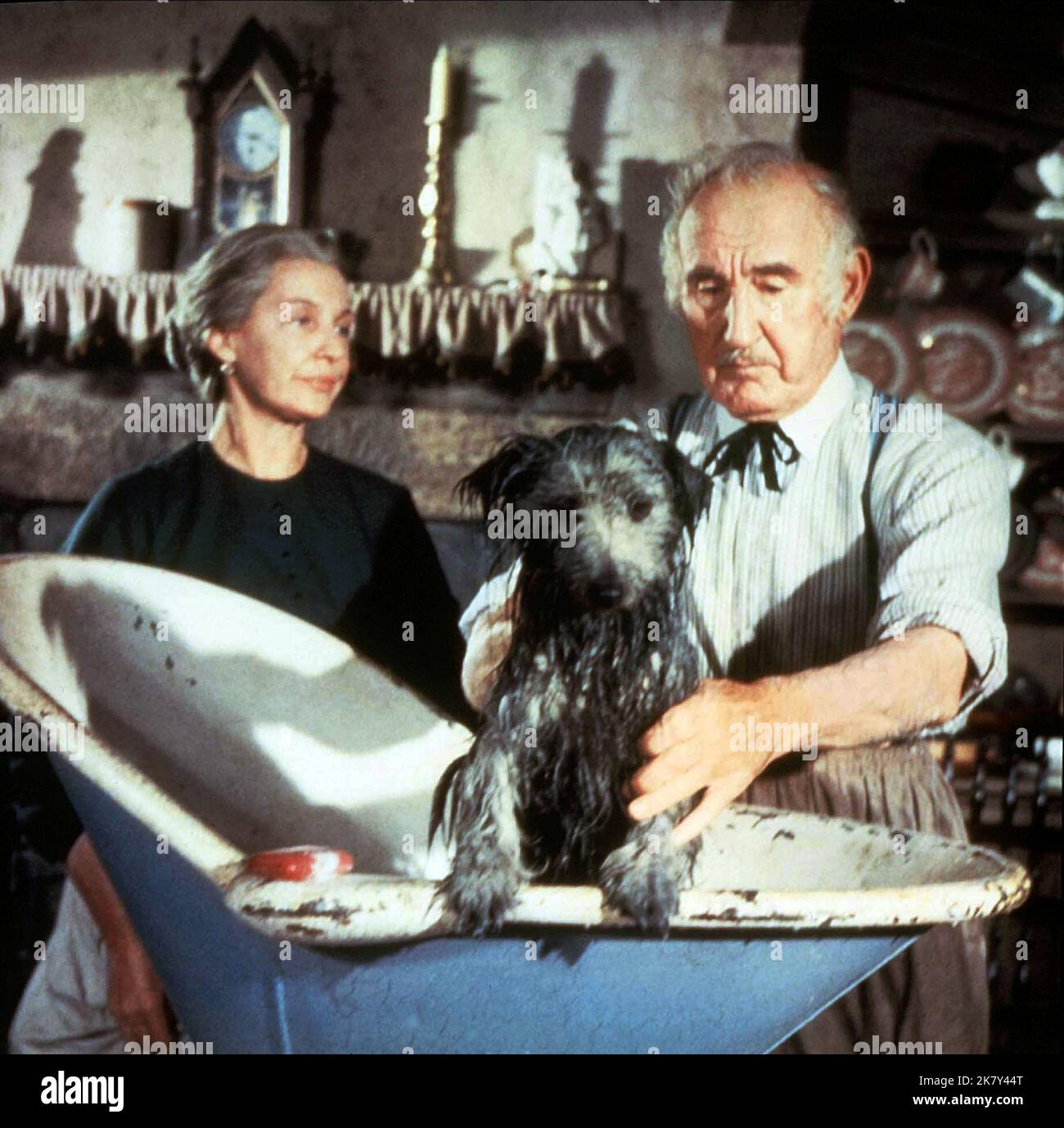 Bobby & Donald Crisp Film Greyfriars Bobby: The True Story Of A Dog ...
