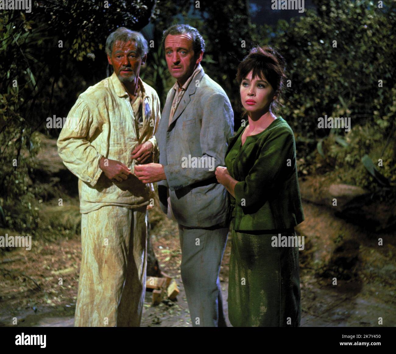 David niven leslie caron hi-res stock photography and images - Alamy