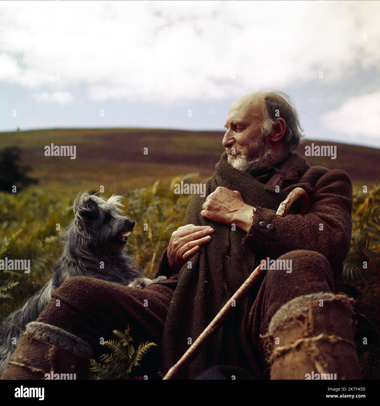 Greyfriars bobby and auld jock hi-res stock photography and images - Alamy