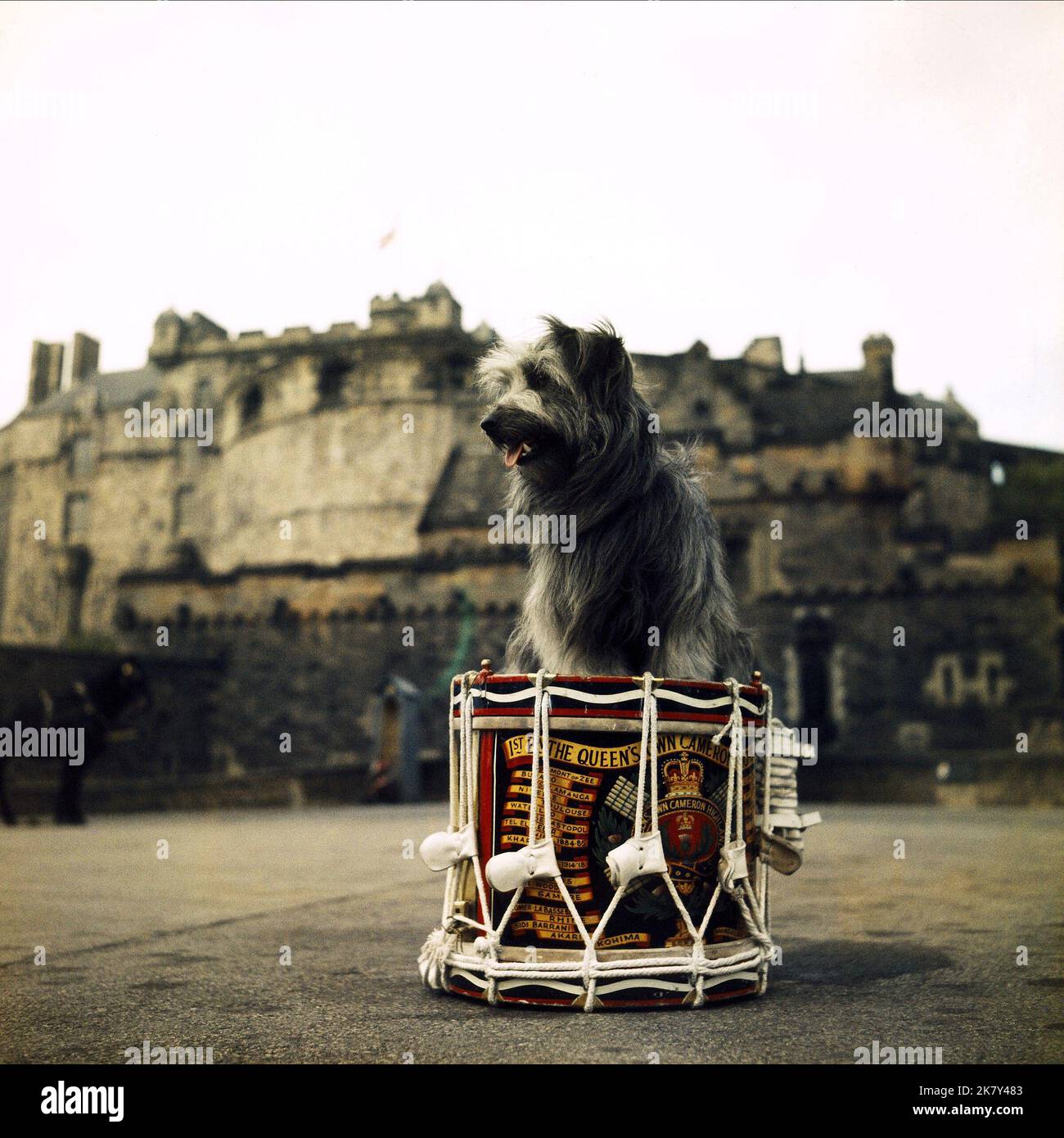 Bobby & Edinburgh Castle Film: Greyfriars Bobby: The True Story Of A ...