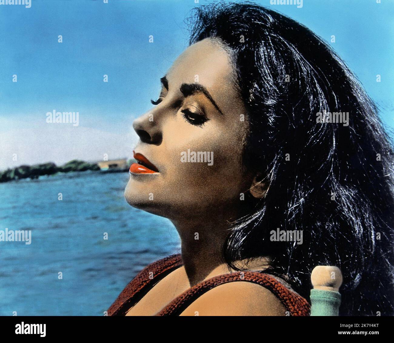 Laura Trowbridge's Instagram, Twitter & Facebook on IDCrawl