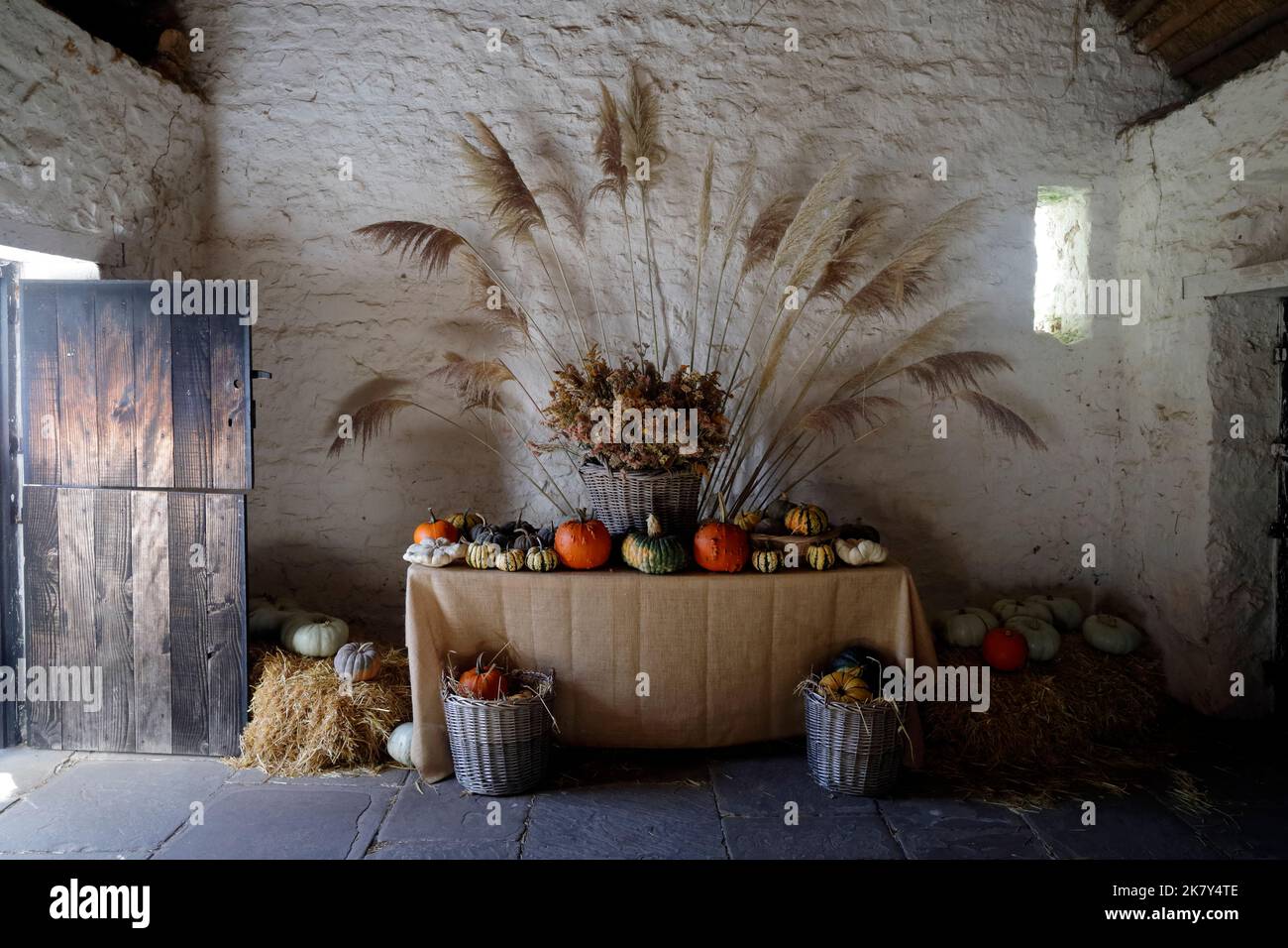 Pumpkins and harvest festival display at St Fagans Museum of History ...