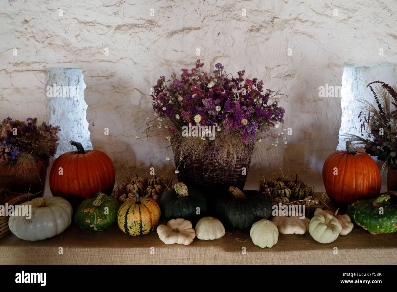 Pumpkins and harvest festival display at St Fagans Museum of History ...