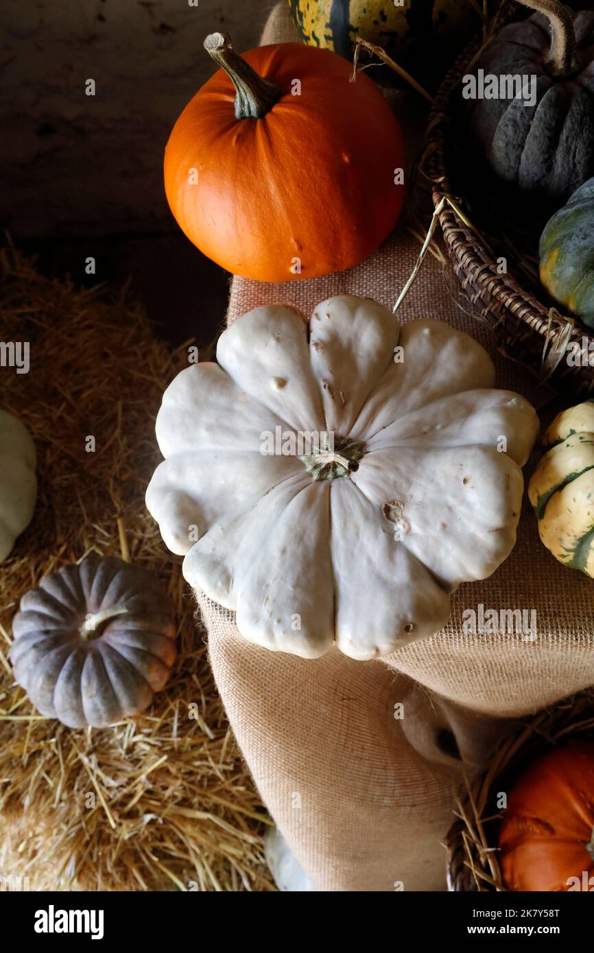 Pumpkins and harvest festival display at St Fagans Museum of History ...