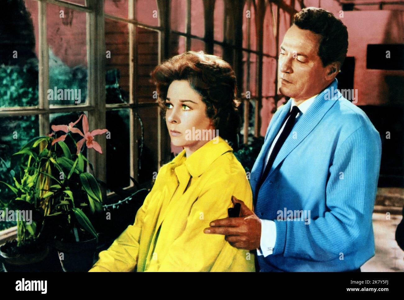 Susan Hayward & Peter Finch Film: I Thank A Fool (1960) Characters ...