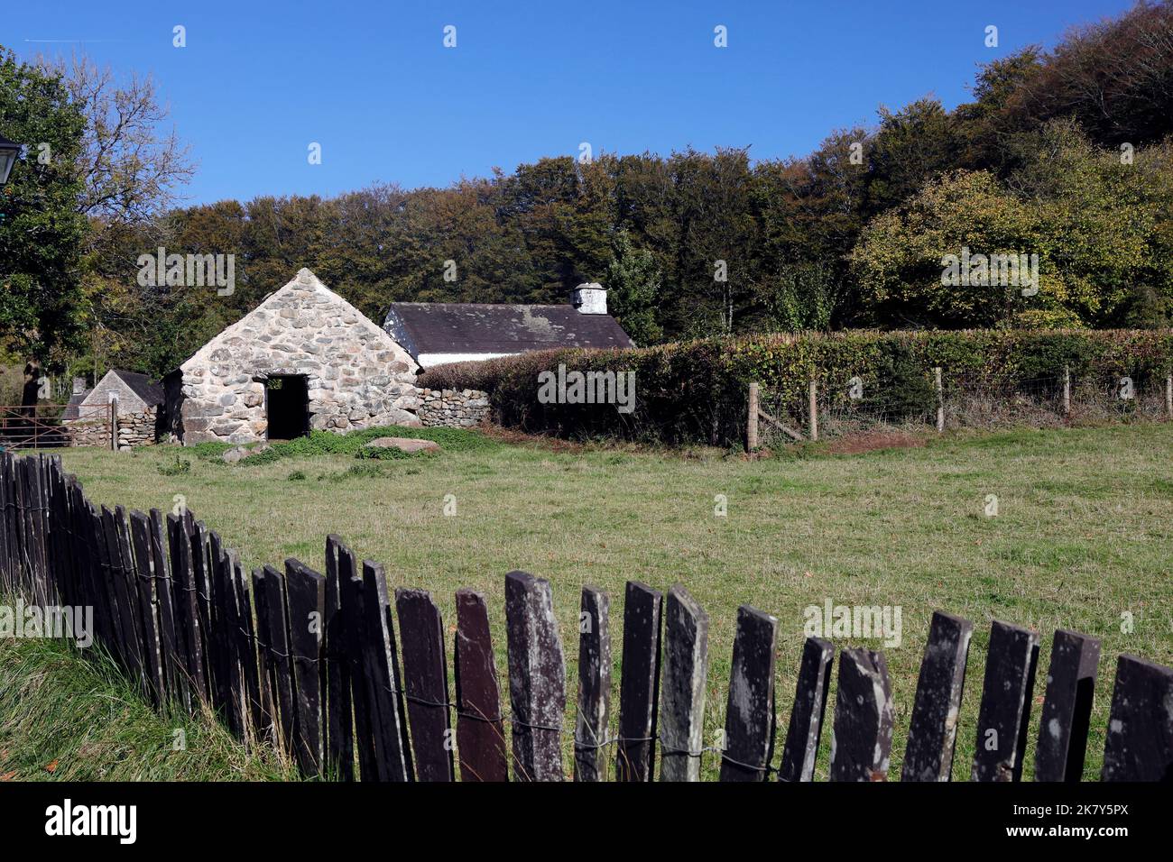 Cae Adda Byre, Old cowshed, with sheep at St Fagans National Museum of ...