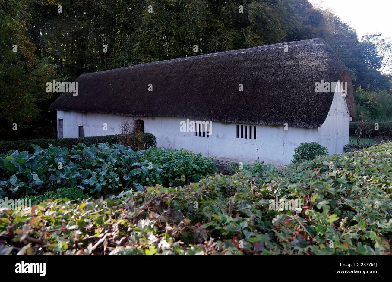 Hendre’r-ywydd Uchaf thatched farmhouse and cottage vegetable garden ...