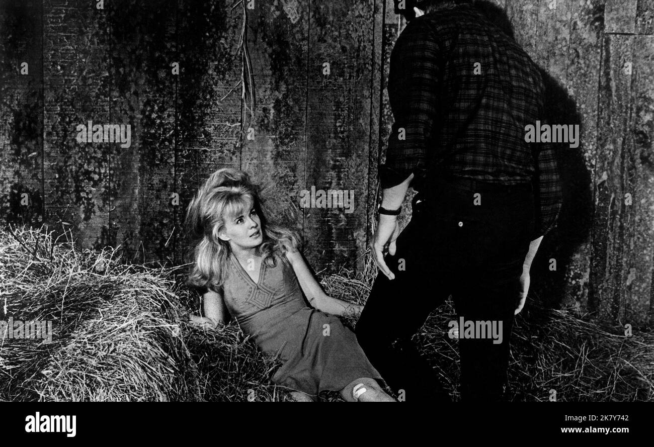 Jean Seberg, Warren Beatty Film Lilith (1964) Characters: Lilith Arthur ...