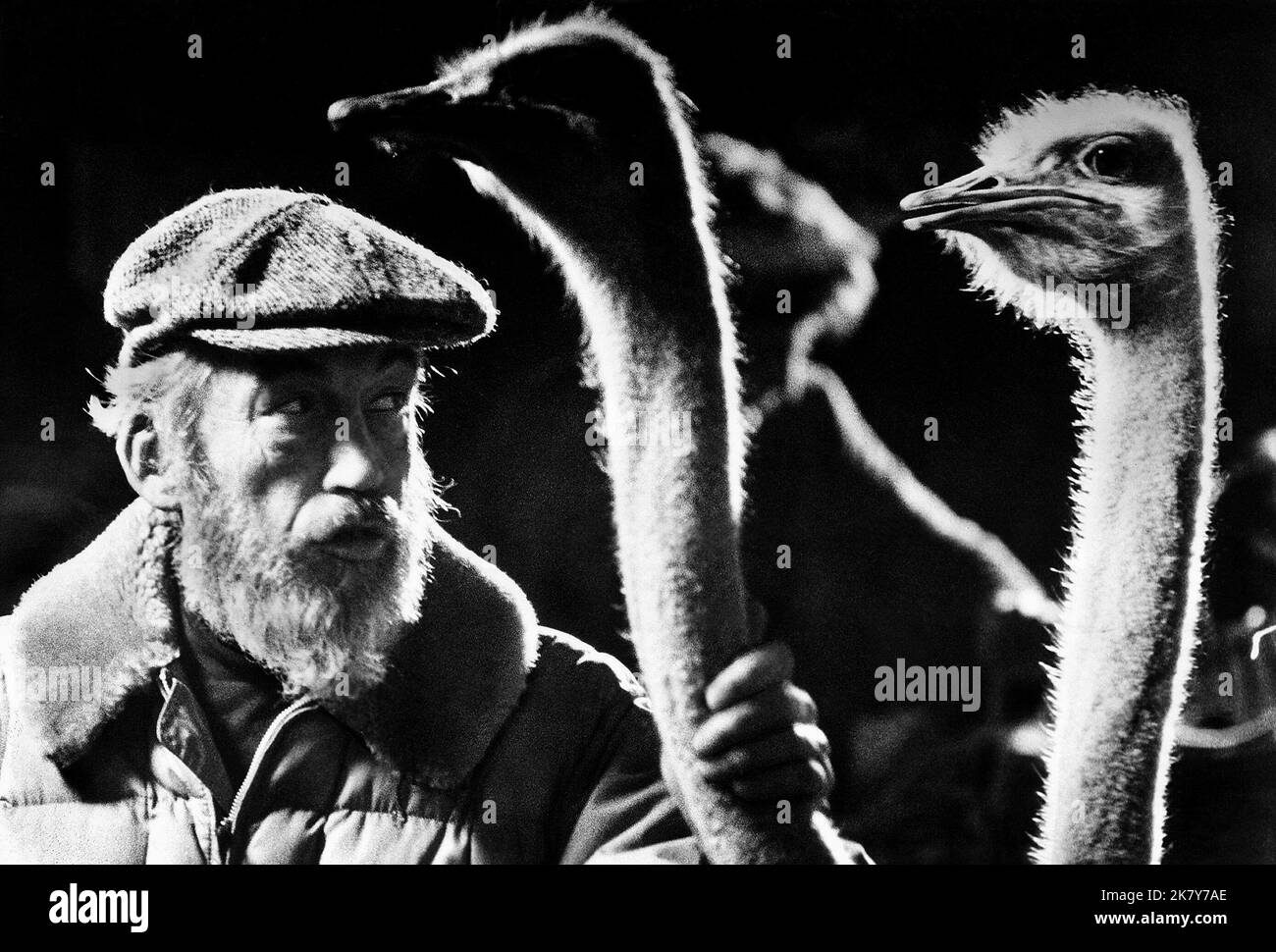 Noah film still Black and White Stock Photos & Images - Alamy