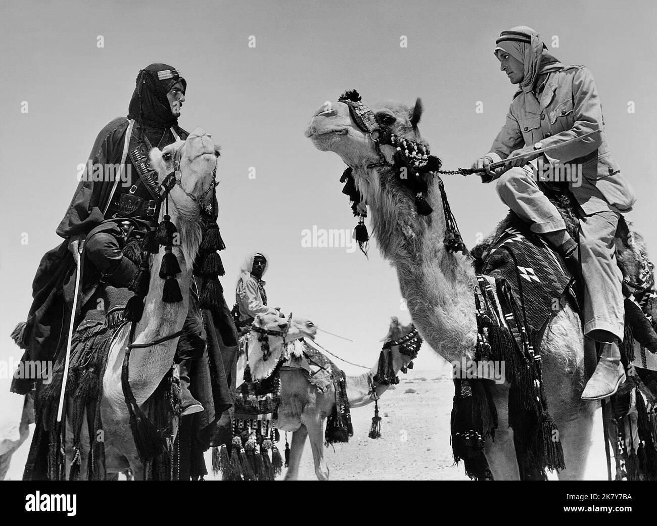Lawrence of arabia camel movie hi-res stock photography and images - Alamy