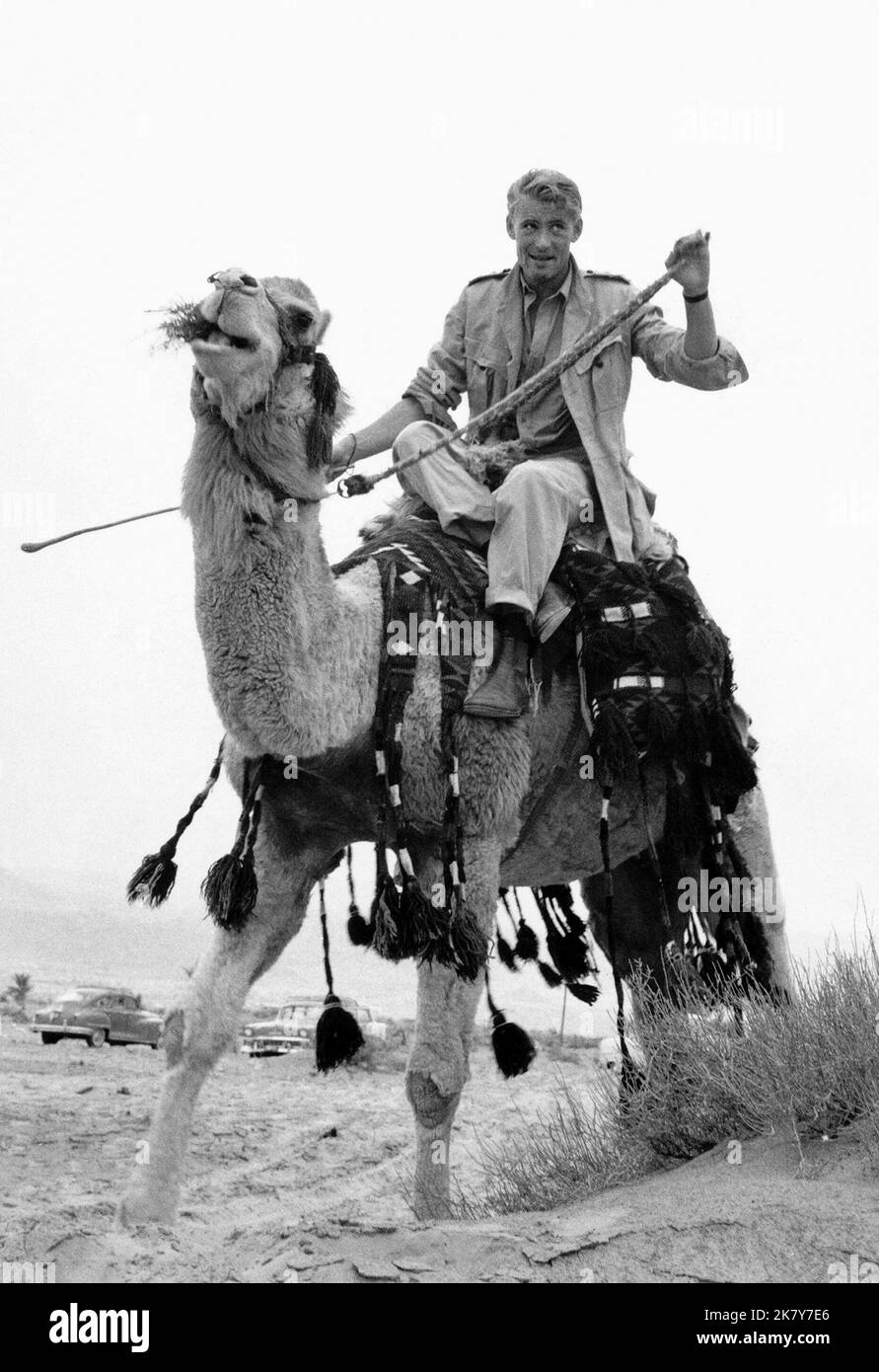 Omar Sharif Lawrence Of Arabia Camel