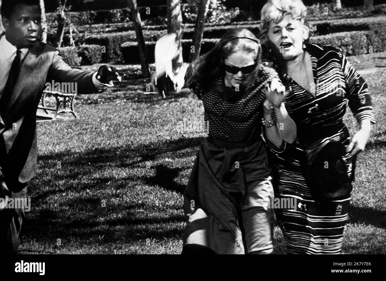 Elizabeth hartmann hi-res stock photography and images - Alamy