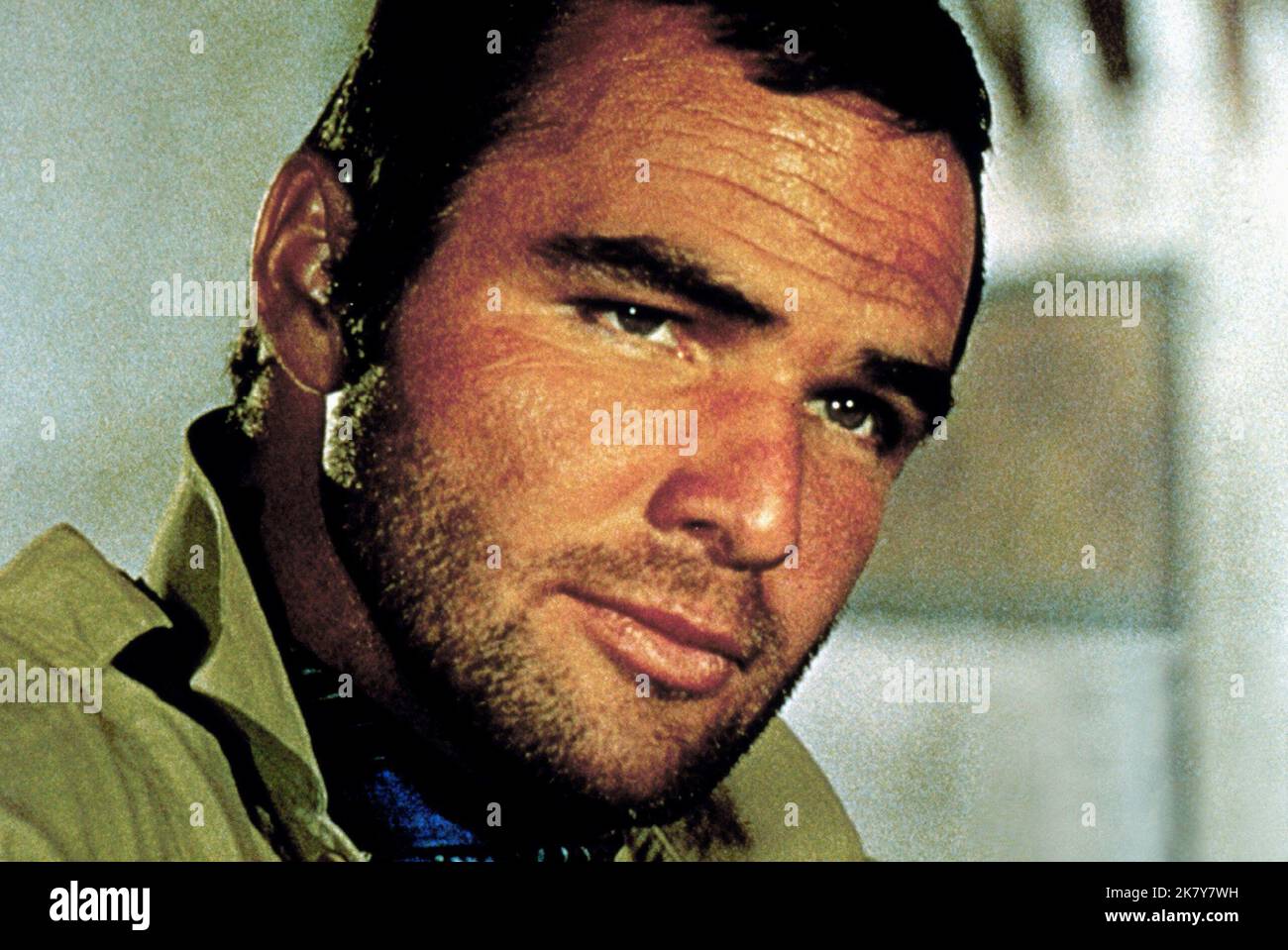Burt reynolds shark hi-res stock photography and images - Alamy