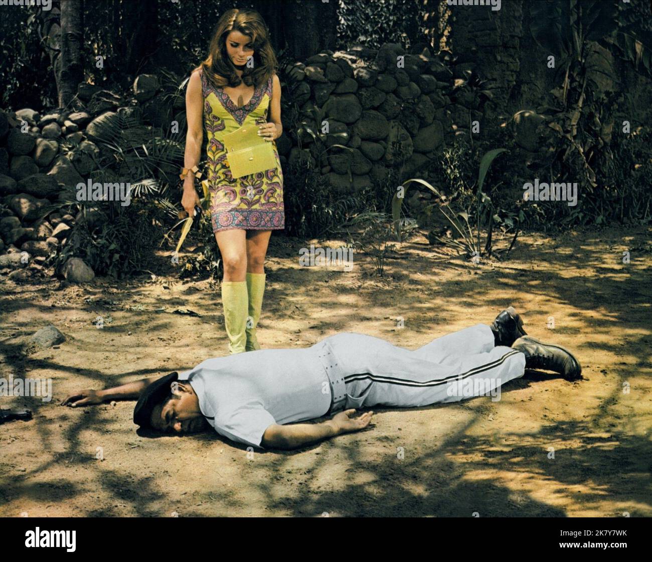 Senta Berger Ambushers