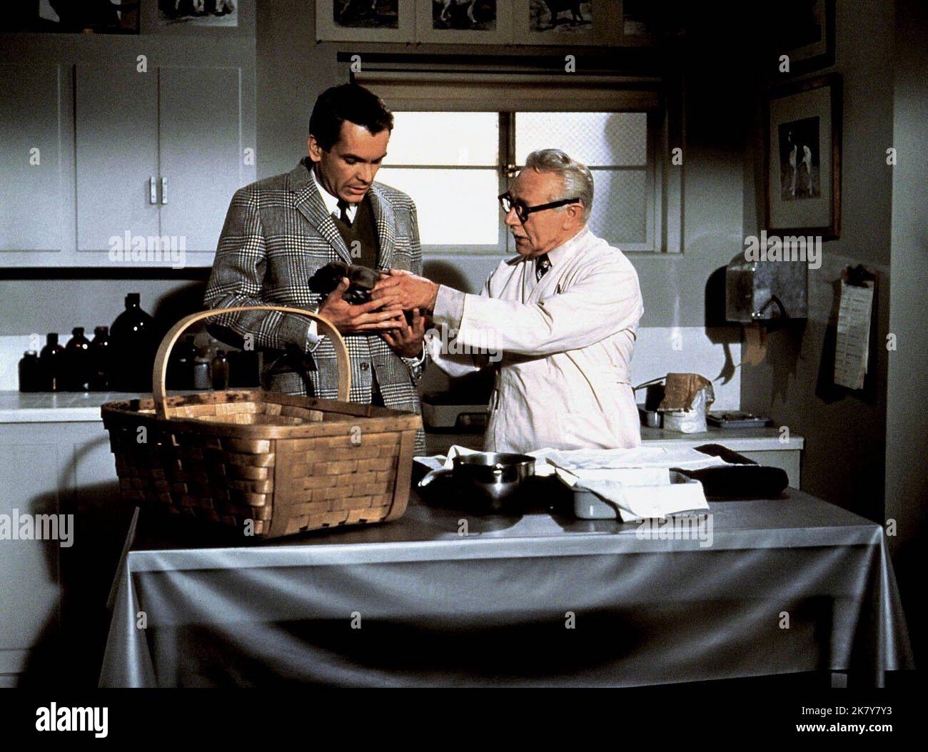 Dean Jones & Charlie Ruggles Film: The Ugly Dachshund (1960) Characters ...