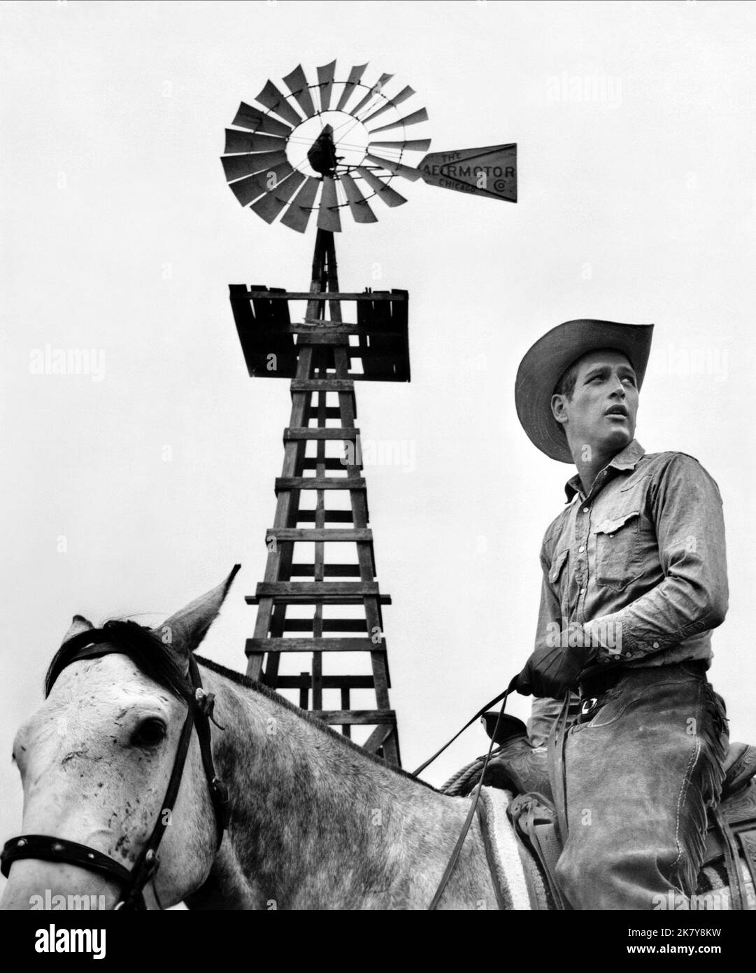 Paul Newman Film Hud (USA 1963) Characters: Hud Bannon Director: Martin ...