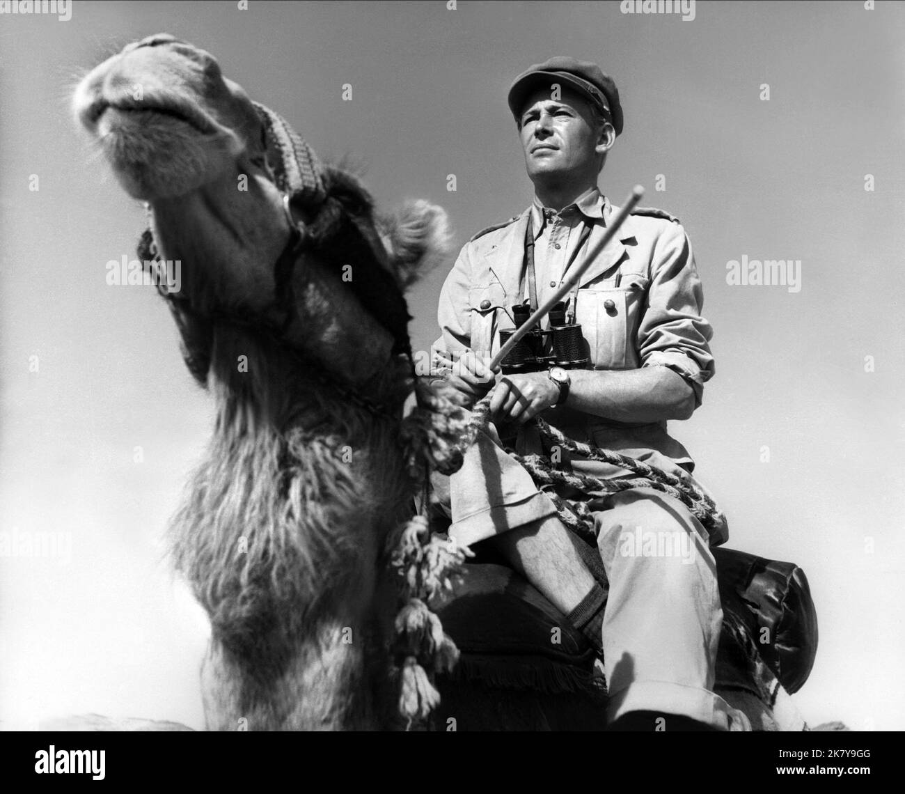 Peter O'Toole Film Lawrence Of Arabia (UK 1962) Characters: T.E ...