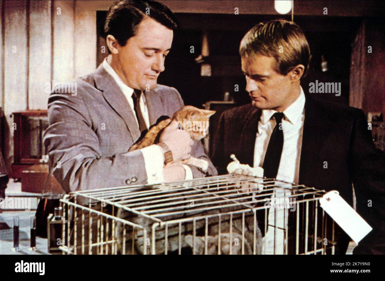 Robert Vaughn & David Mccallum Film: One Spy Too Many; Man From U.N.C.L.E. (USA 1966) Characters ...