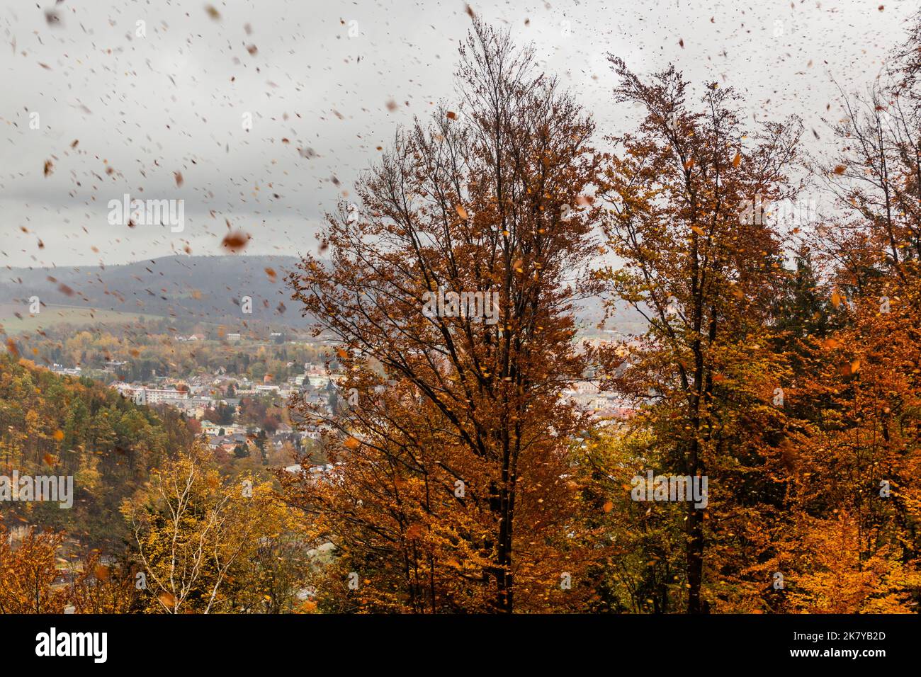 Windy autumn hi-res stock photography and images - Alamy