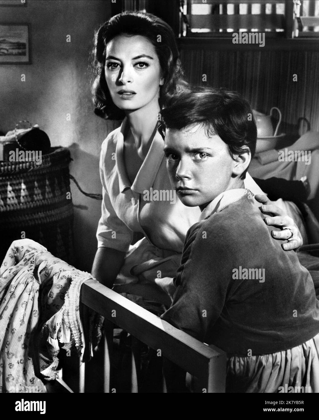 Capucine lion hi-res stock photography and images - Alamy