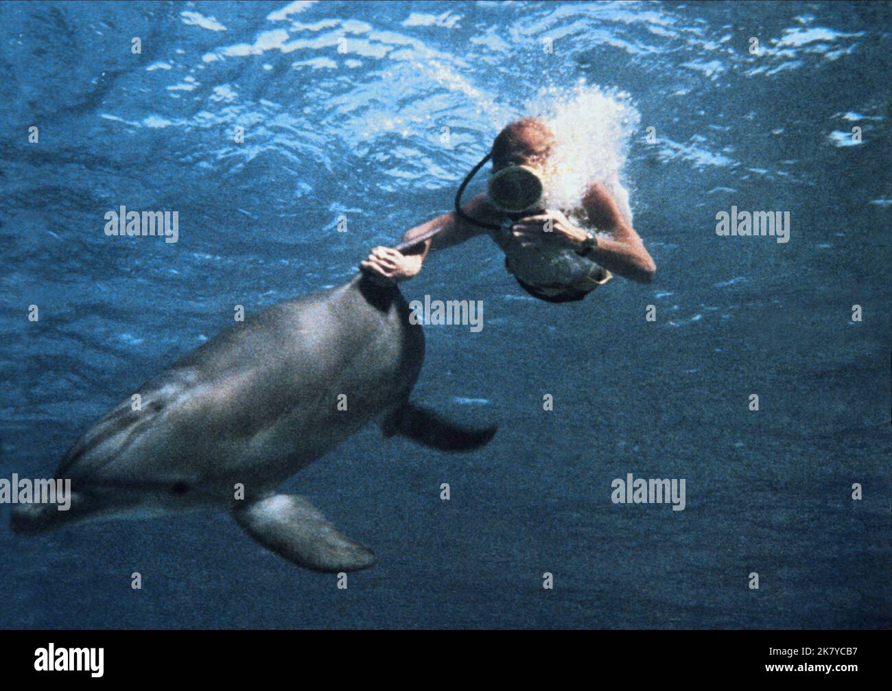 Luke Halpin Television: Flipper (TV-Serie) Characters: Sandy Ricks Usa ...