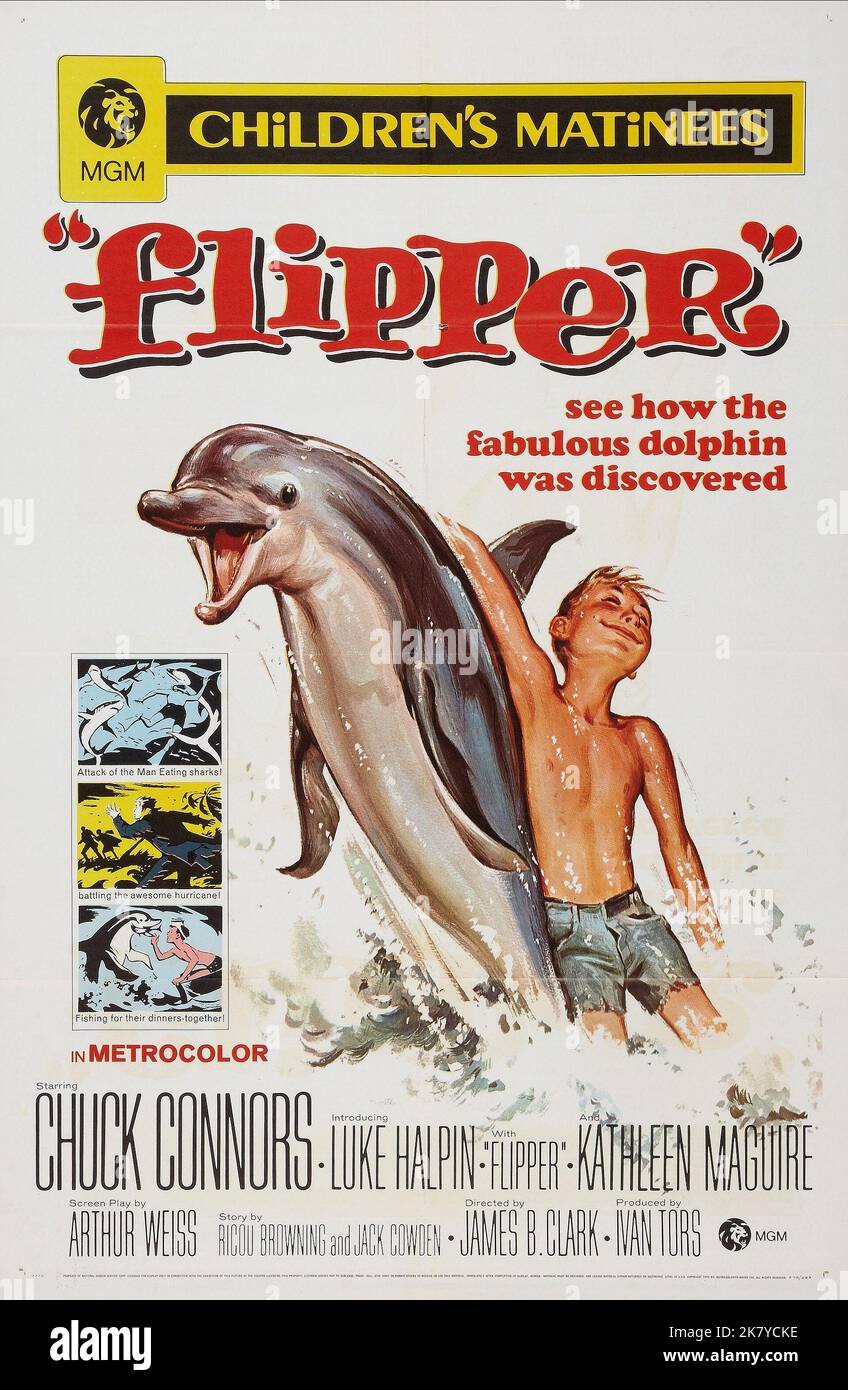 Luke Halpin & Dolphin Poster Film Flipper (USA 1963) Characters: Sandy ...
