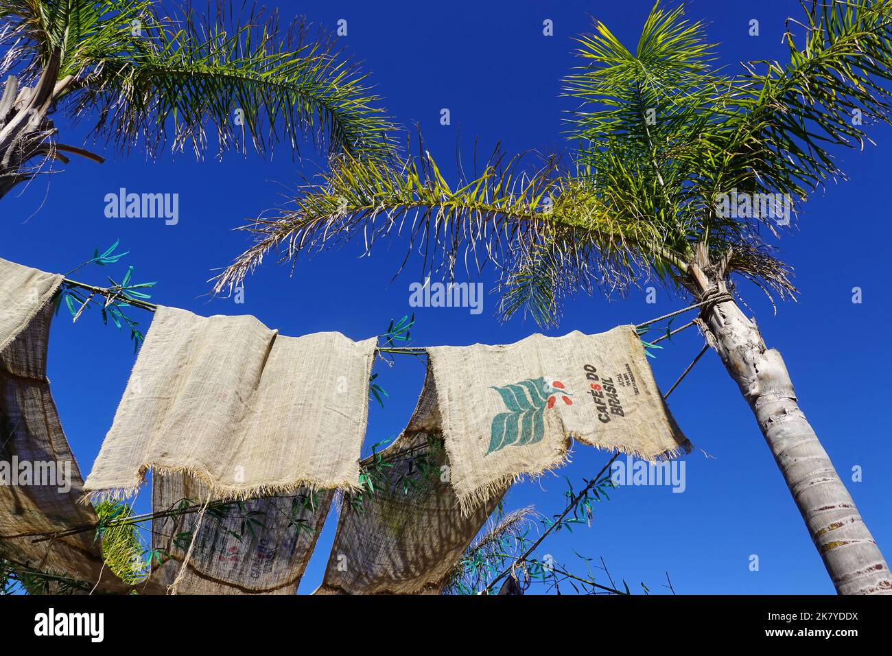 Jute sack of Coffes do Brasil, Copacabana, Rio de Janeiro, Brazil Stock ...