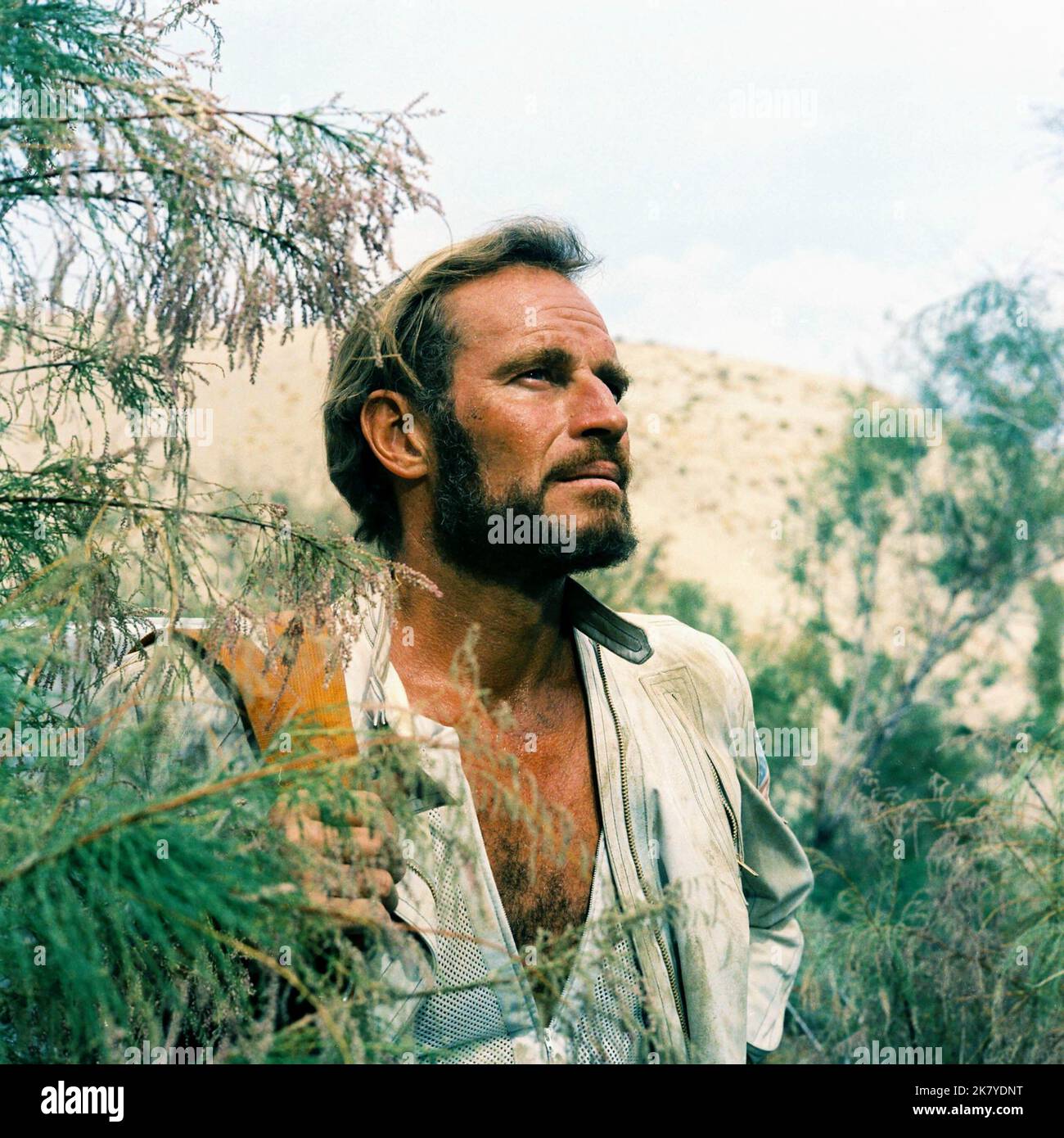 Planet of the apes 1968 charlton heston hi-res stock photography and ...