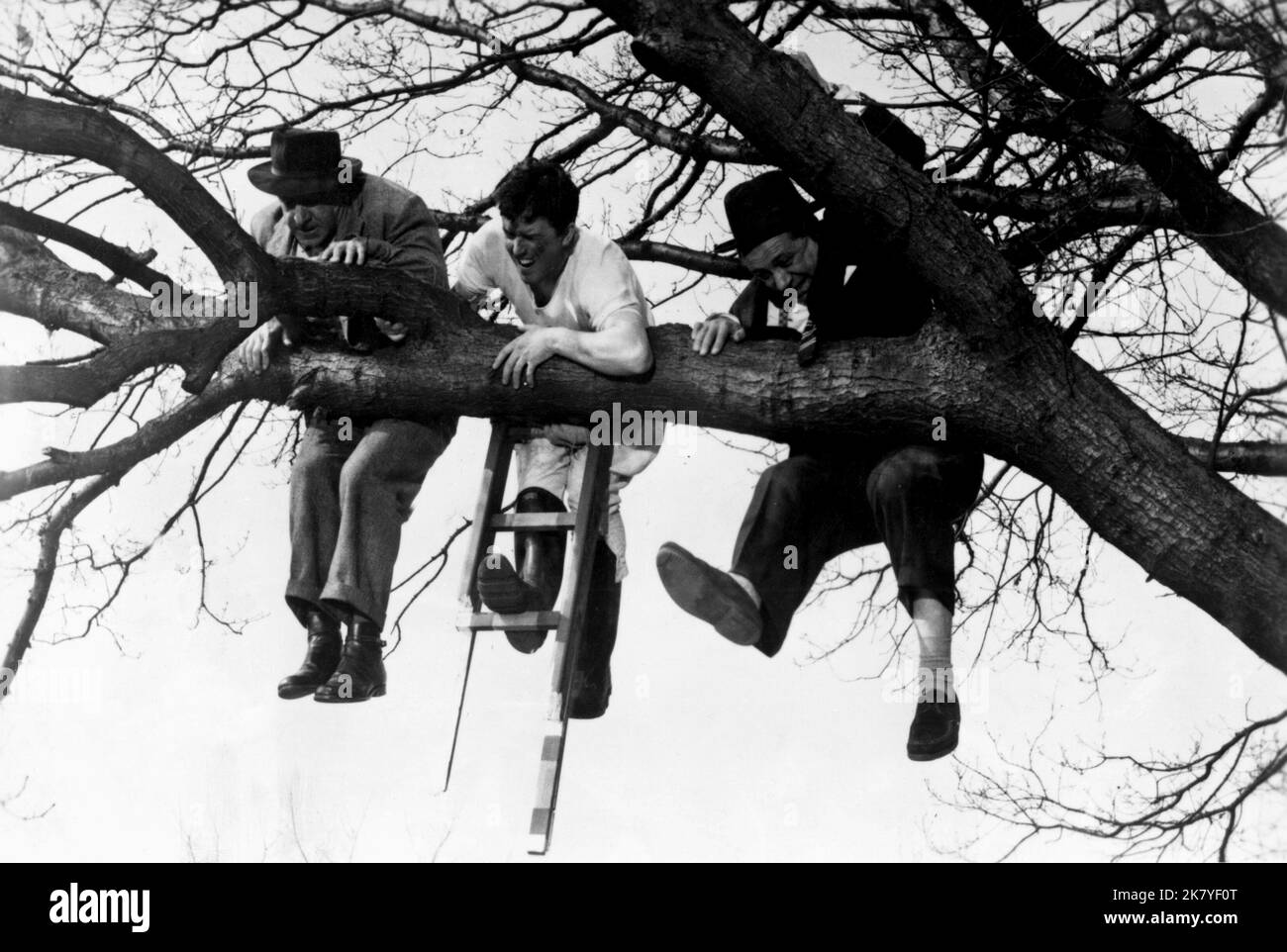 Ronald Shiner, Brian Rix & Sid James Film Dry Rot (1962) Characters ...