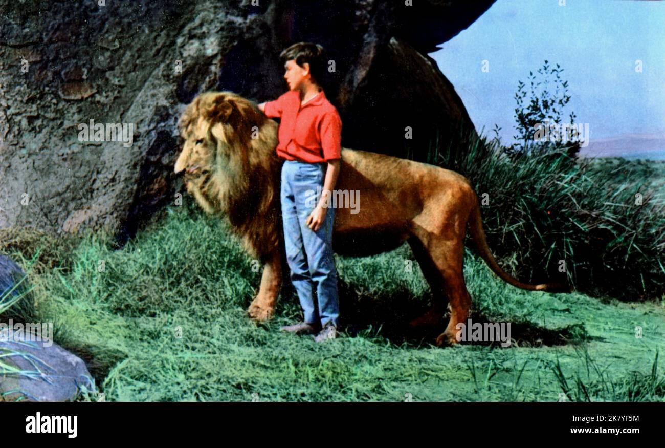 Pamela Franklin & Lion Film The Lion (1968) Characters: Tina & Director ...