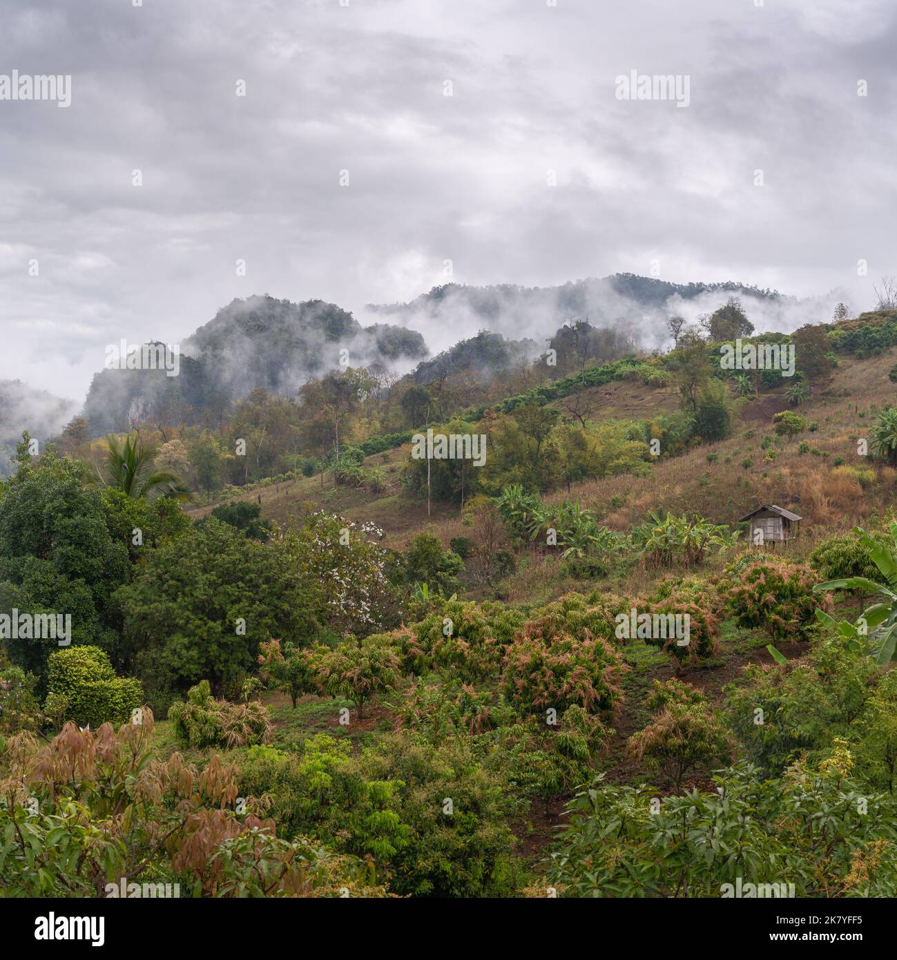 Scenic rural tropical landscape with low clouds and moody sky in ...