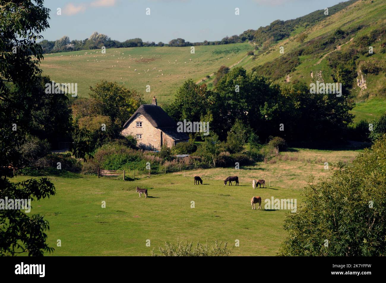 DORSET FARM LAND, CORFE CASTLE AND THE VILLAGE OF CORFE CASTLE, PURBECK ...