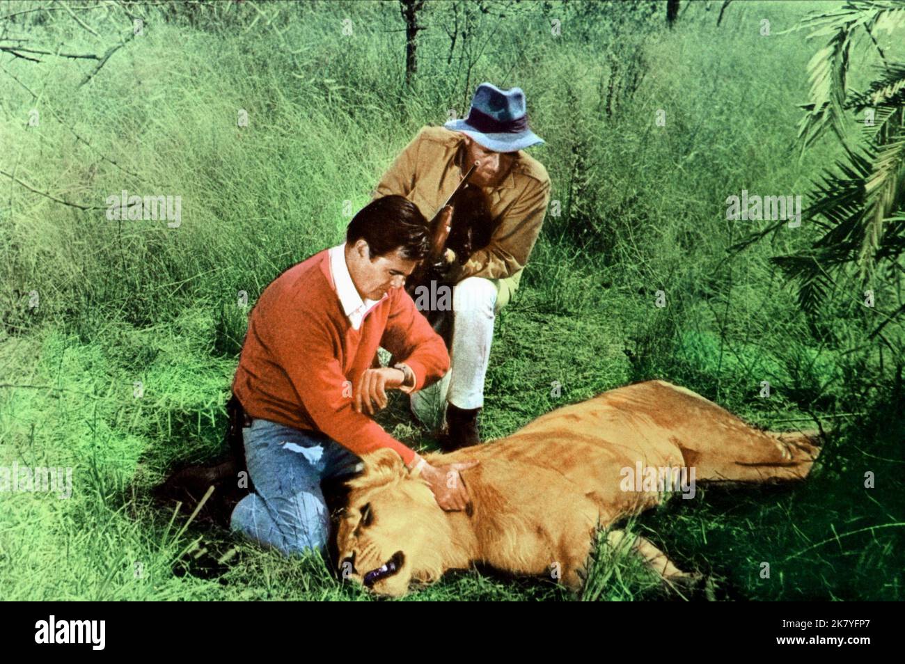 Harry Guardino, Robert Culp & Lion Film Rhino! (1964) Characters: Alec ...