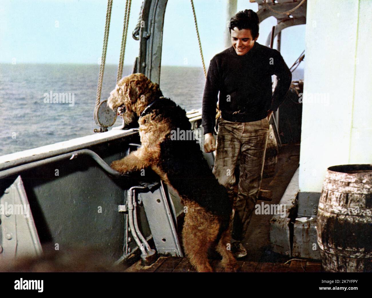 Guy Stockwell Film: Ballad Of Hector, The Stowaway Dog, The Million ...