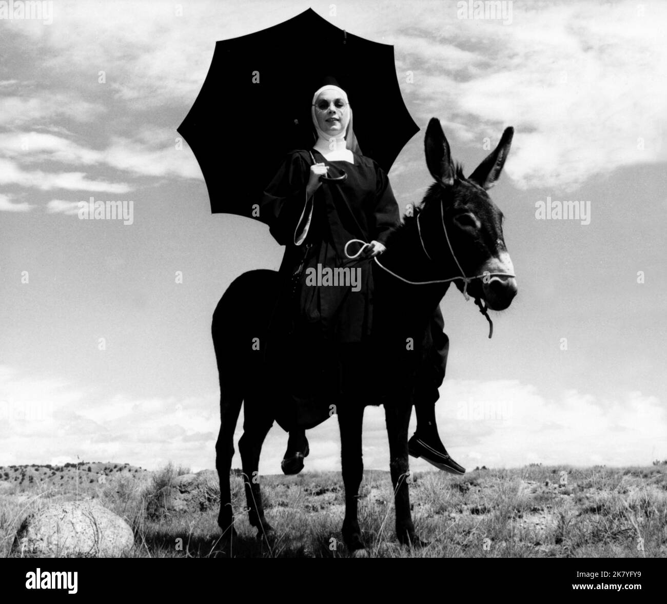 Stella Stevens On Donkey Film: Where Angels Go, Trouble Follows (1968 ...