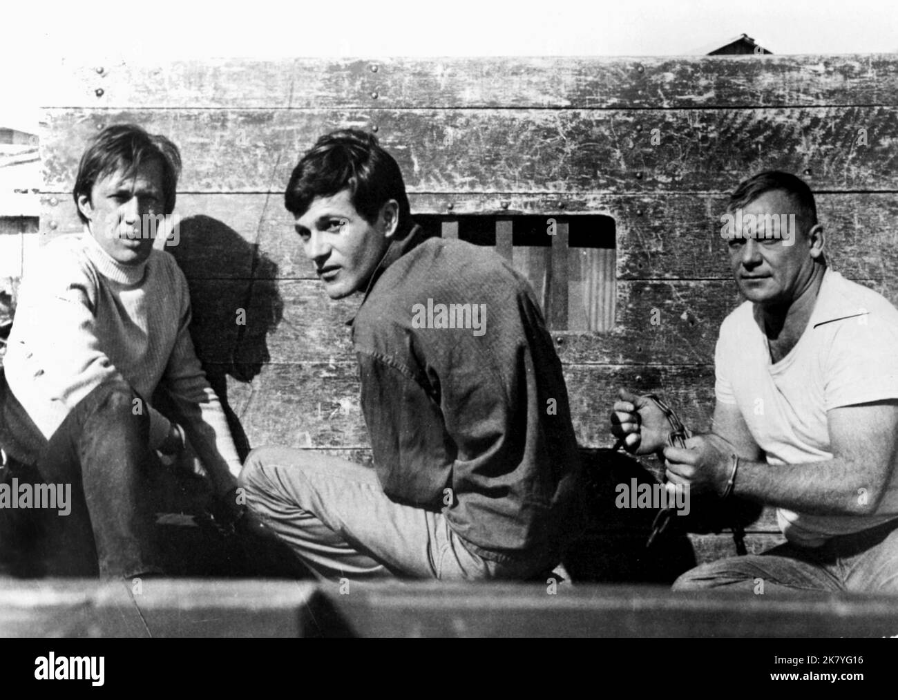 David Carradine, Tommy Sands & Aldo Ray Film: The Violent Ones (1967 ...