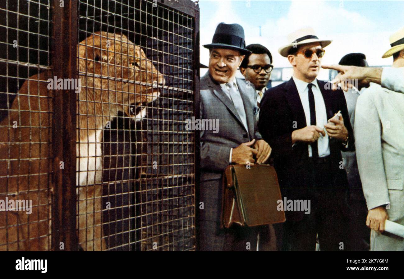 Lion & Bob Hope Film Call Me Bwana (UK 1963) Characters: & Matthew ...