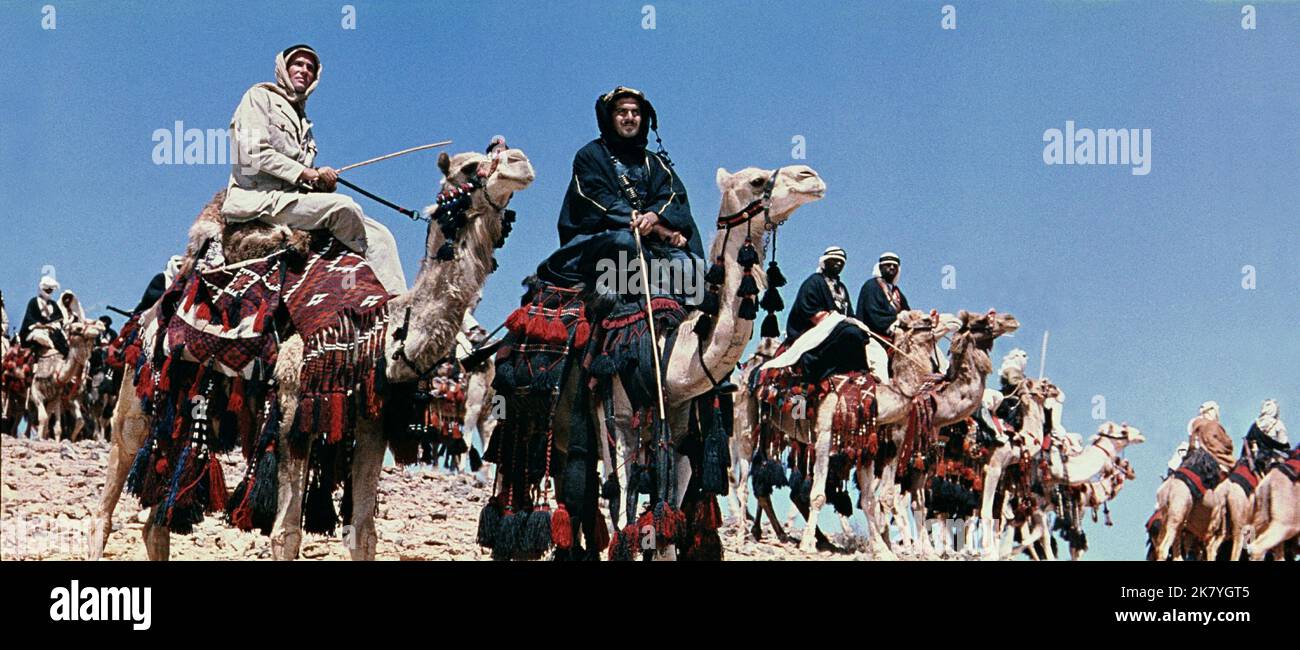 Omar Sharif Lawrence Of Arabia Camel