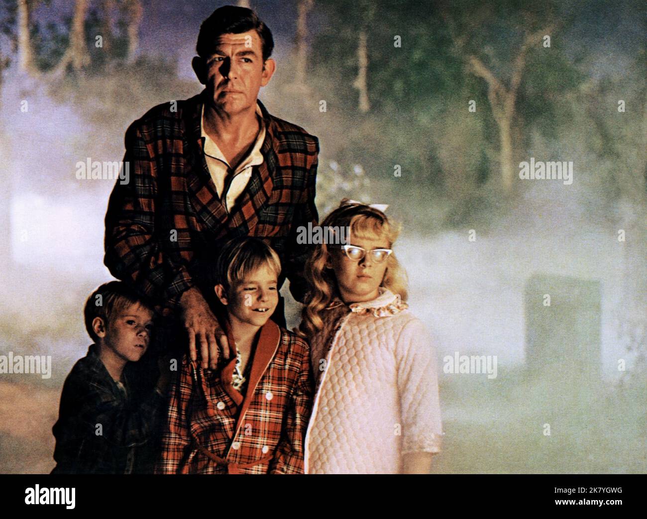 Andy Griffith Film Angel In My Pocket (1969) Characters: Reverend ...