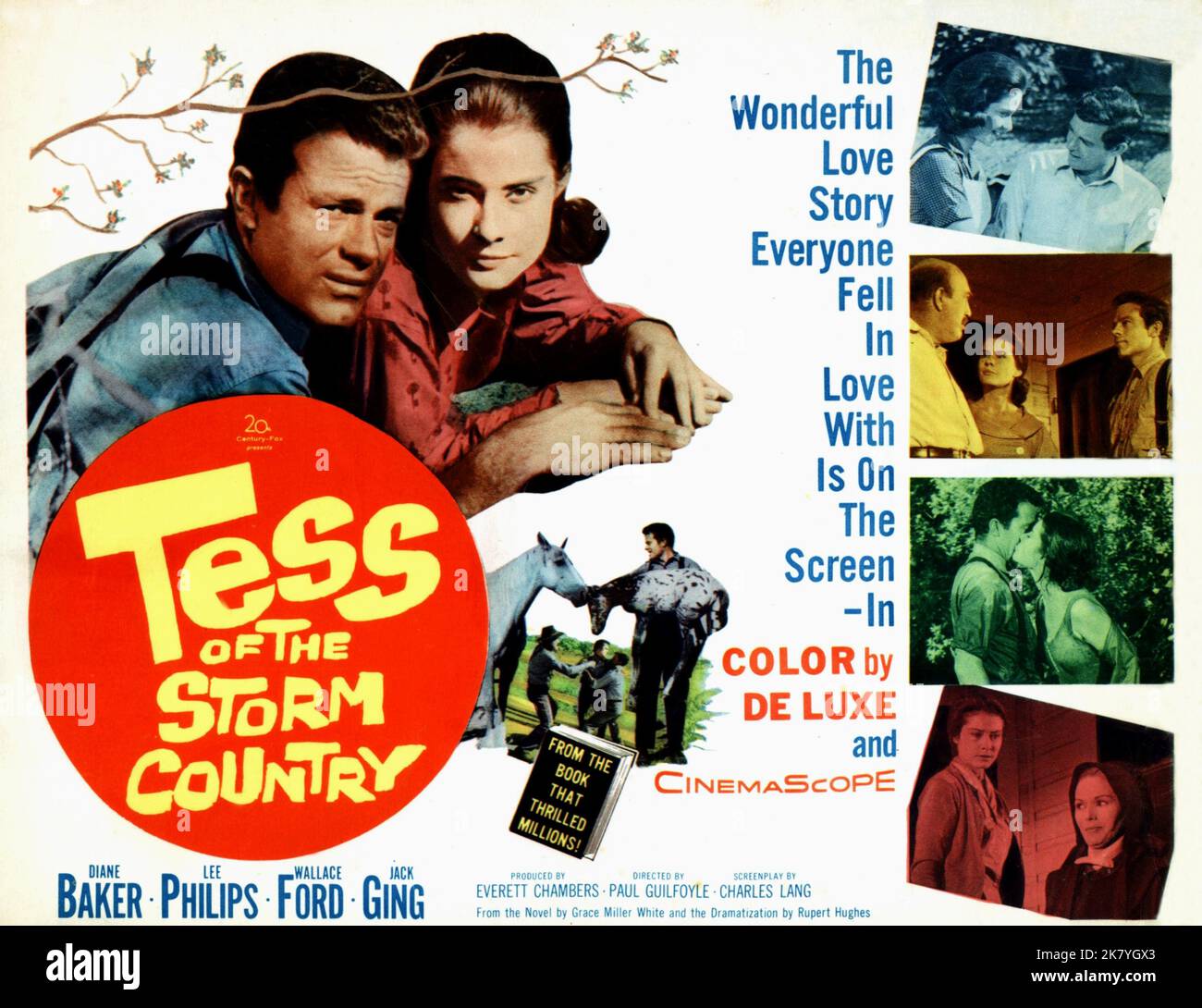 Movie Poster Film: Tess Of The Storm Country (1968) Director: Paul ...