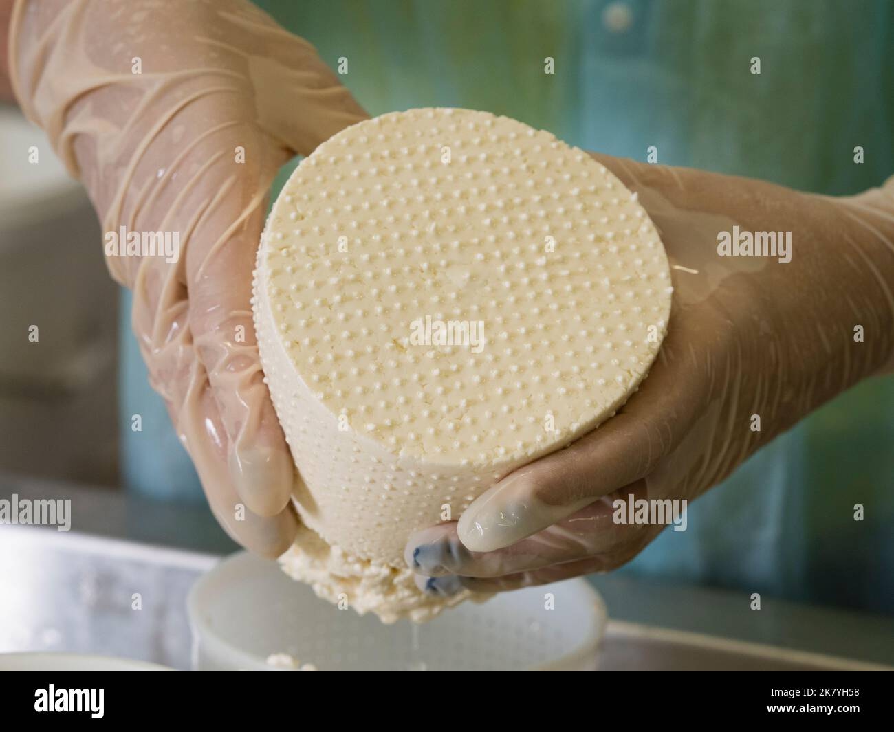 Young farm worker hands close up hi-res stock photography and images ...